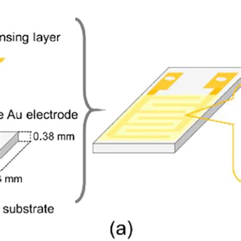 Schematic Diagram Of The A Gas Sensor Device⁶² Download Scientific
