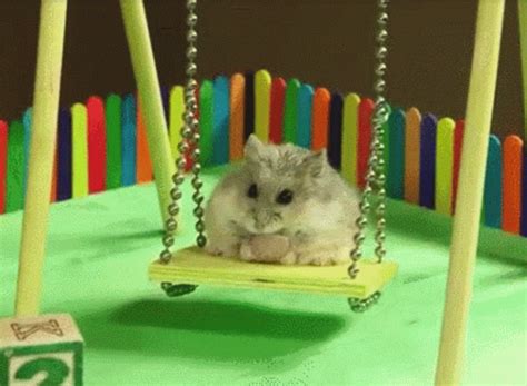 Angry Hamster 