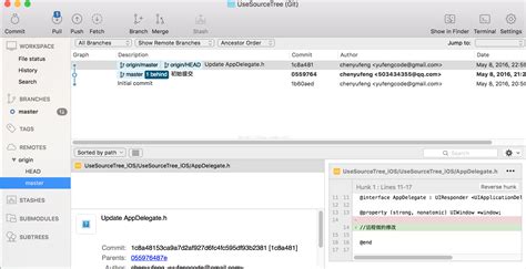 Git可视化工具sourcetree的使用 配置管理 火龙果软件