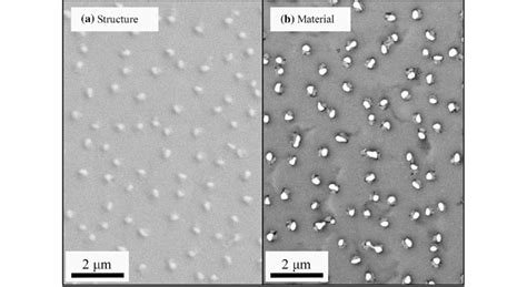 Sem Micrograph Of Sample 1 Using The Bse Detector In Structural And