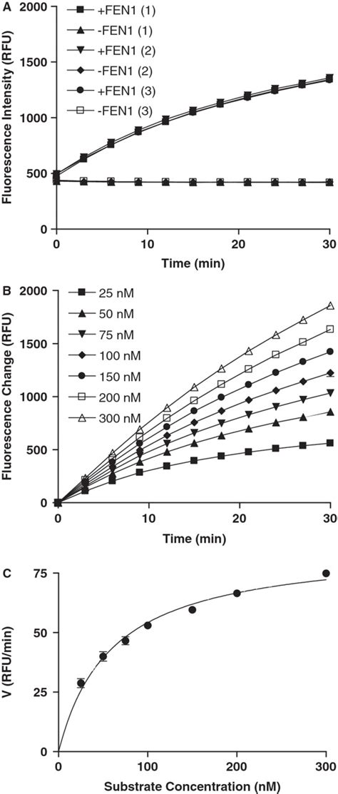 Demonstration Of The Fluorogenic Assay In 384 Well Plate Format A Download Scientific