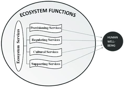 1 Interaction Of Ecosystem Services And Human Well Being Download