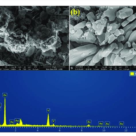 Sem Images Represent A 10 μm B 1 μm Whereas C Illustrate The Edx