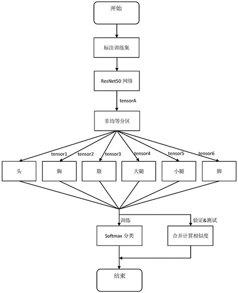 一种基于人体骨骼关键点检测和非均等分区的行人重识别方法与流程