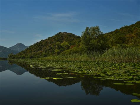 Daringbadi In Odisha Hill Stations In Odisha Summer Destinations In