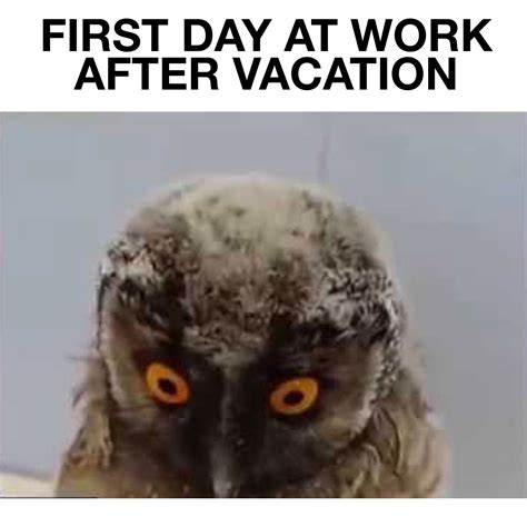Coworker Vacation Meme