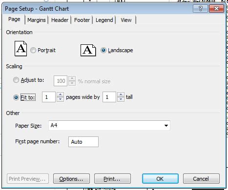 How To Print Your Microsoft Project Plan