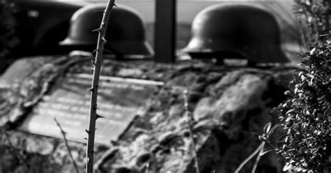 The Ilc Draft Principles On Protection Of The Environment In Armed