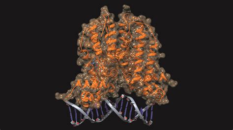 Designer Biosensor Can Detect Antibiotic Production By Microbes College Of Sciences