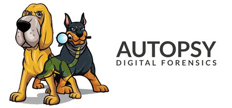 Digital Forensics Platform [autopsy] Cyberpunk