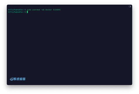 如何在 Ubuntu LTS 上安装 Docker 系统极客