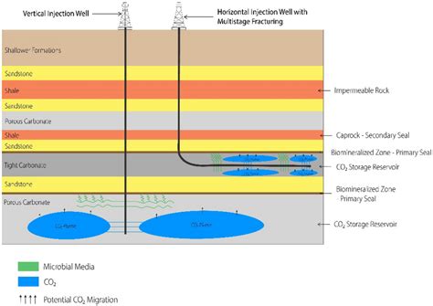 Application Of Biomineralizing Agents For Co2 Geo Sequestration
