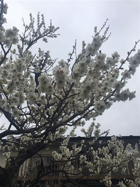 触らないで！セクハラってどこから訴えられるの？ 岡山綾メンタルヘルス