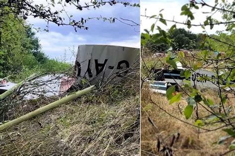 Oral Sex Gave Me Cancer But I Probably Wouldnt Change A Thing Daily Star