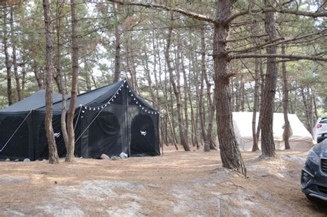충남 태안반도 가볼만한곳 해루질 차박 가능한 운여해변 바다 앞 텐트촌 캠핑장 추천 후기 네이버 블로그