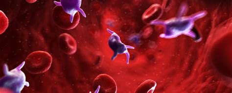 Global Platelet Function Test Industry Hits Striking Us217 Billion Global Platelet Function Test Industry Hits Striking Us217 Billion