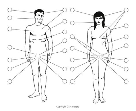 Schematic Illustrations Unique Modern And Vintage Style Stock Illustrations For Licensing