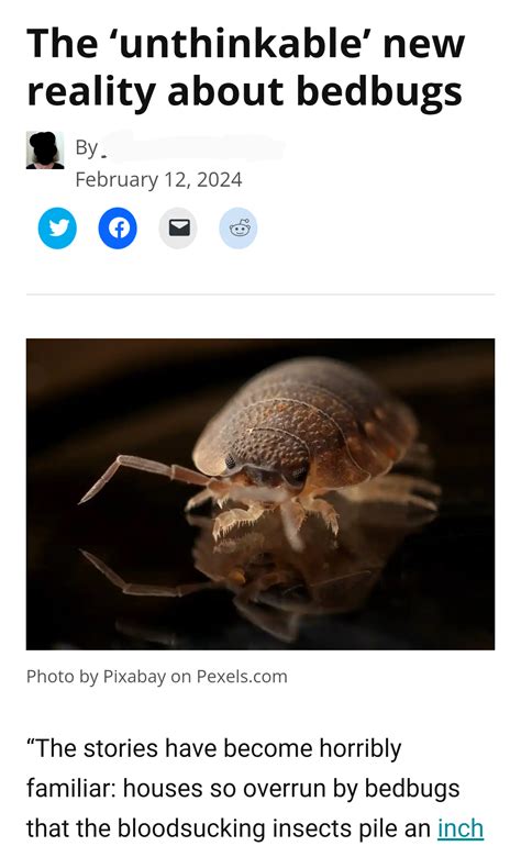 Bed Bug Memes Article About Bed Bugs Featuring A Crustacean As The