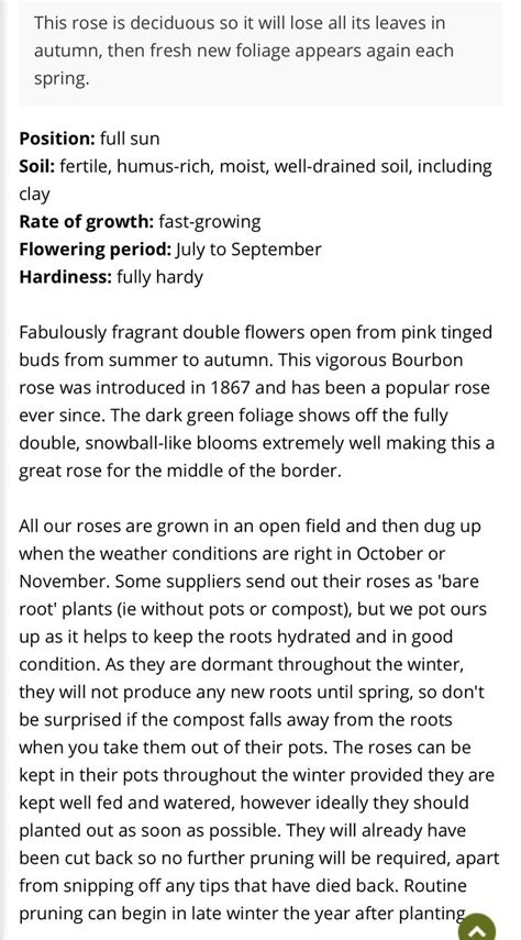 Pin By Louise Atherton On Shrub Border Fresh Spring Fertility Fast