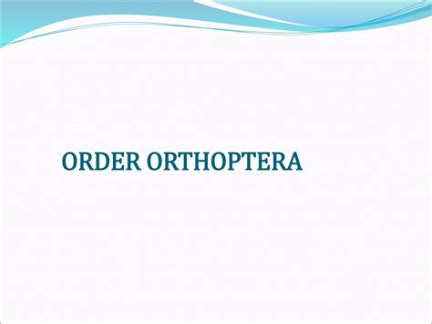 Lec 34 Classification Of Class Insecta Upto Orders Ppt