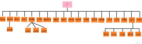 Linux系统介绍及文件类型和权限 Csdn博客