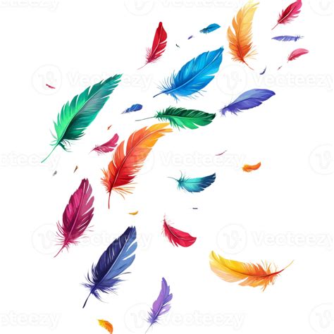 Colorful Feathers Falling Gracefully Against Black Background 55661005 Png