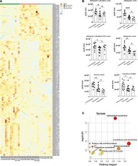 Long Term Administration Of Triterpenoids From Ganoderma Lucidum Mitigates Age Associated Brain