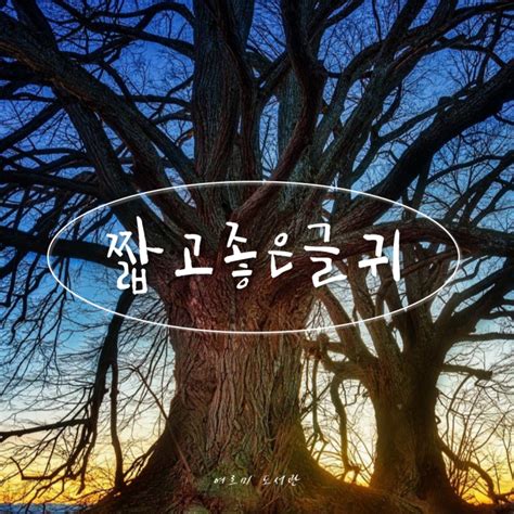 힘들 때 힘이 되는 글귀 필사하기 좋은 책 초역 니체의 말 초역 붓다의 말 명언 네이버 블로그