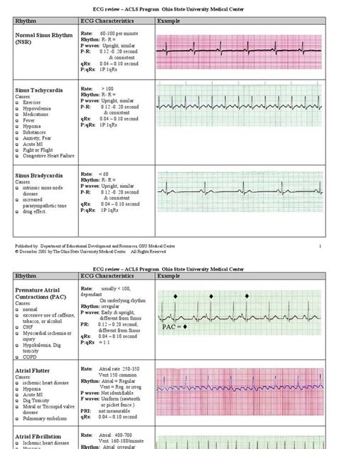 Pin On Healthcare Infographics