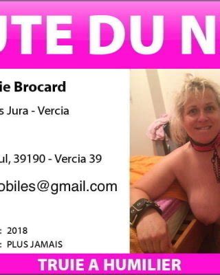 Slut Id Card Notepad Huren Und Fickschweine Porno Bilder Sex Fotos XXX Bilder 3682041 PICTOA