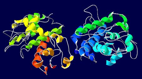 What Are Digestive Plant Enzymes Earthpedia