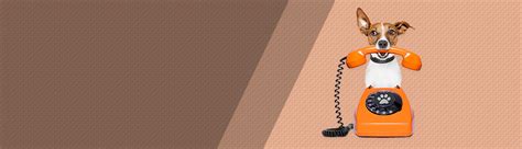 Telephony Pstn Fantel