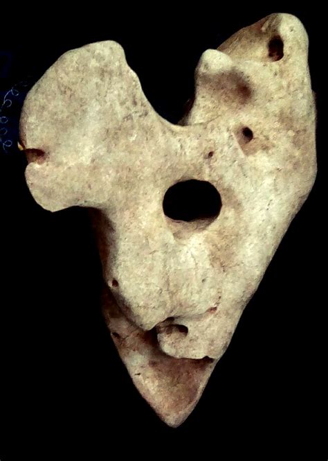 An Interesting Specimen Needs Identification Fossil Id The Fossil Forum