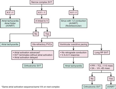 Paroxysmal Supraventricular Tachycardias Thoracic Key