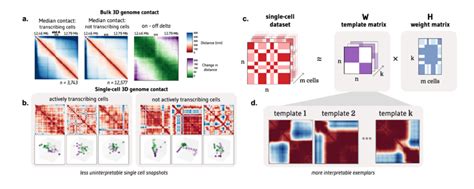 nmf provides interpretable decomposition of single molecule chromatin