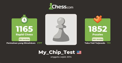 Mychiptest Profil Catur