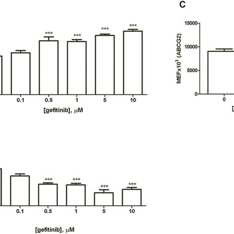 Effect Of Gefitinib On Abcg2 Activity And Protein Expression H460