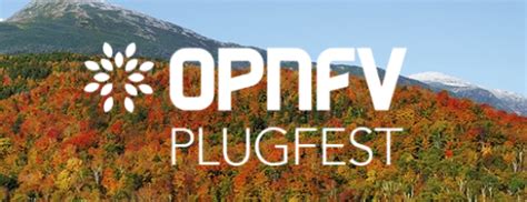 Interoperability Testing At The Opnfv Plugfest Deployment Network Integration And Vnf