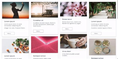 Masonry Cards Css Grid With Buttons