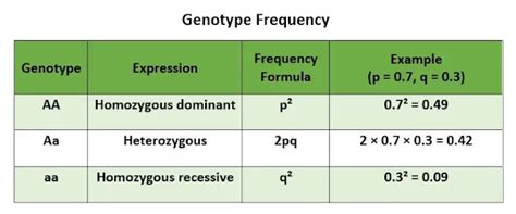 What Is Genotype Frequency Hardy Weinberg Equilibrium Genetics