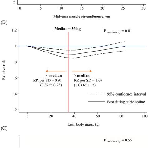 Associations Of Mid‐arm Muscle Circumference A Lean Body Mass B
