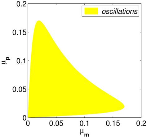 Constrained Region Of The μm μp Plane Where The Inequality 19