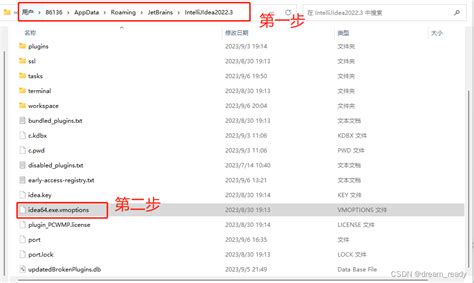 idea 打不开，电脑上下了多个idea，新下的idea双击打不开，新版idea打不开，超实用简单解决办法 安装两个idea不好使 csdn博客