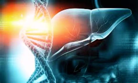 Acquired Hyperammonemia And Carnitine Deficiency Mimicking Urea Cycle