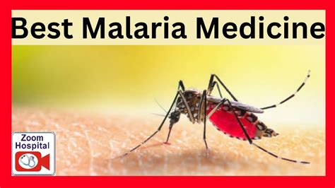 Types Of Drip For Malaria At James Cue Blog
