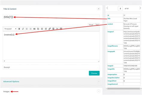 How To Export And Import Images In WordPress With Plugins