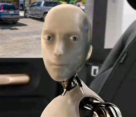 Stephanie P Augustine