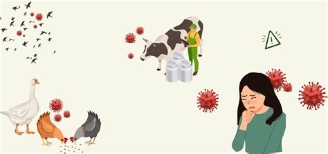 A New List Of Priority Pathogens That Could Cause The Next Pandemic