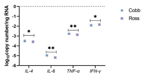 The Effect Of Breed On Mrna Expression In The Ileum Of Broilers The