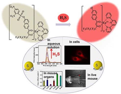 Responsive β Diketonate Europiumiii Complex Based Probe For Time Gated Luminescence Detection
